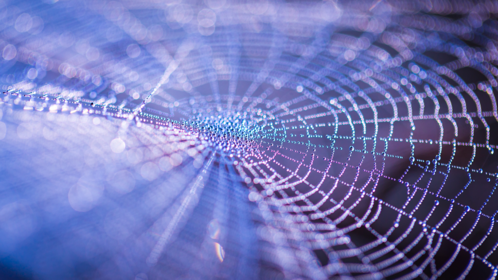 Third & Nth Party Continuous Monitoring: Standing Up An Effective ...